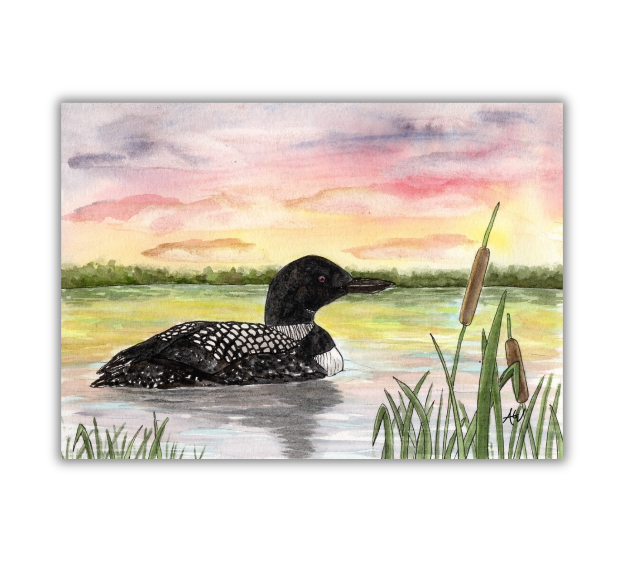 Loon at Sunset - Pen and Watercolor Painting Fine Art Print: 8x10 inch ...